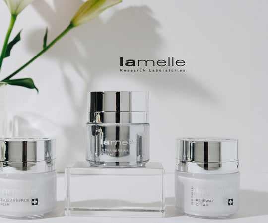 Shop Lamelle At Chris&Alley, SA's Trusted Reseller and Partner – Chris ...