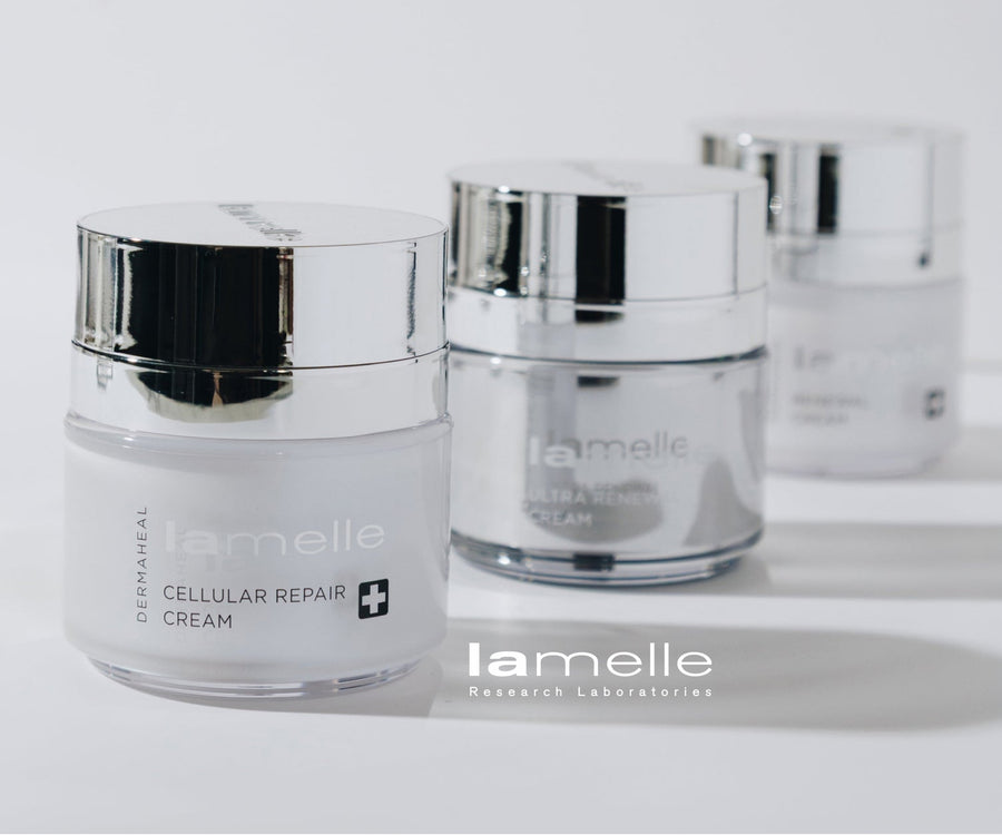 Shop Lamelle At Chris&Alley, SA's Trusted Reseller and Partner – Chris ...